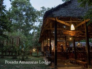 Posada Amazonas Lodge | Peru Travel Blog