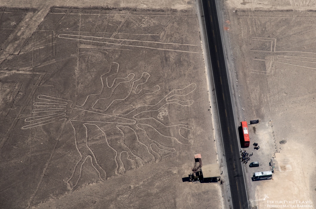 Nazca Lines Flight: How to Book, What to Expect